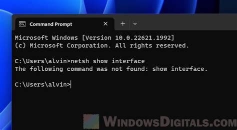 What Is Netshexe And Its Popup And Crashes In Windows 11
