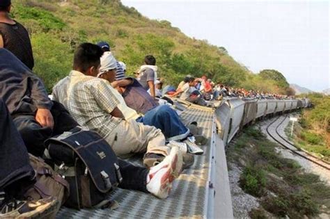 Pavan Mickey Mickeys Collection 50 Pics