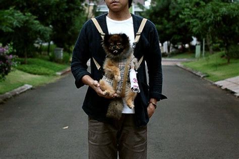 About Aditya Pratama Medium