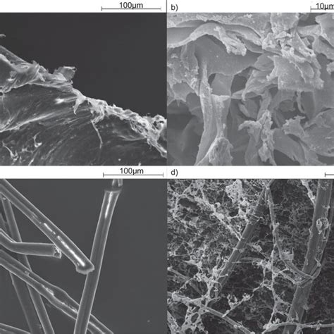 Summary Of Microplastic Properties Used To Settling Experiments