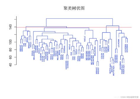 r语言k means和层次聚类分析癌细胞系微阵列数据和树状图可视化比较 r语言中聚类分析图为竖向图 csdn博客