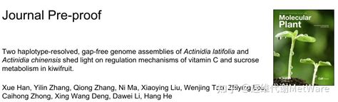 Mol Plant 何航 邓兴旺团队构建两个猕猴桃t2t基因组图谱助力挖掘果实品质调控基因 知乎