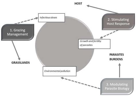 1 three main principles of action to control gastrointestinal