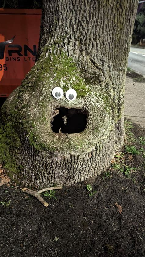 Scary Tree Monster Rgooglyeyes