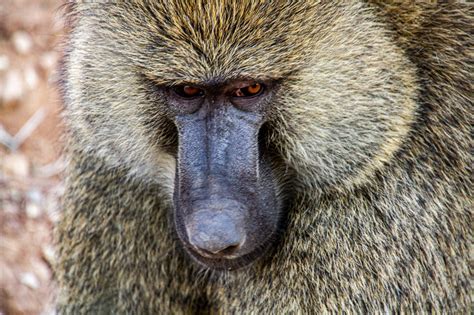 Discovery Tours Operation Bootstrap Africa