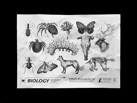 125 Vector Bitmap Assets Biology Behance