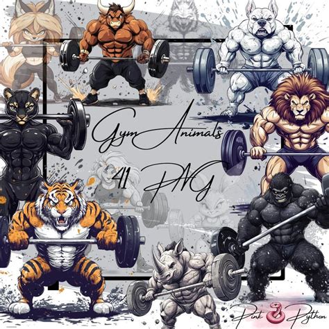Animal Strength Cards Etsy Uk