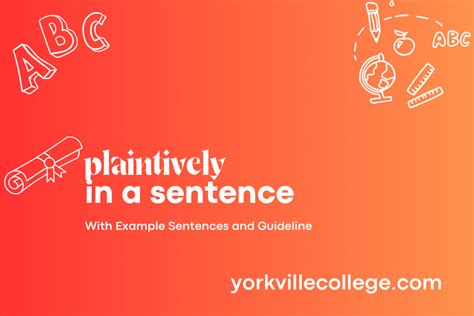 How To Use Plaintively In A Sentence Easy Examples
