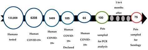 Viruses Free Full Text Whole Genome Characterization Of Sars Cov 2