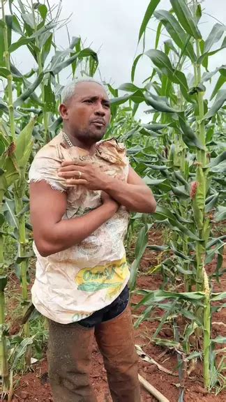 Slingshot Ride Sex Video And R Rated Slingshot Ride Kwai