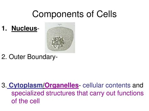 PPT Cellular Structure PowerPoint Presentation Free Download ID