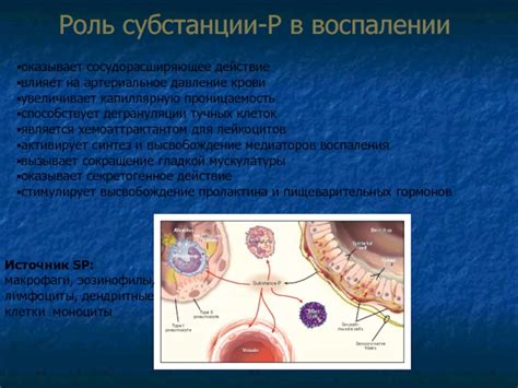 Патофизиология воспаления