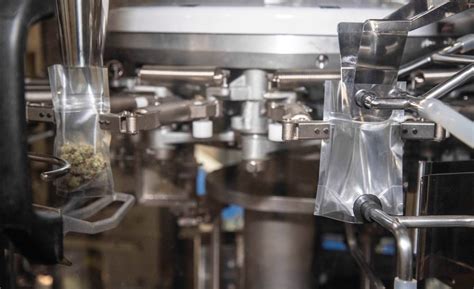 Massman Pouch Packaging Machine Appeals To Cannabis Packers 2020 04