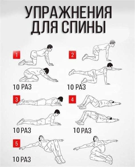 Fitness Workout For Women, Yoga Fitness, Fitness Body, Health Fitness ...
