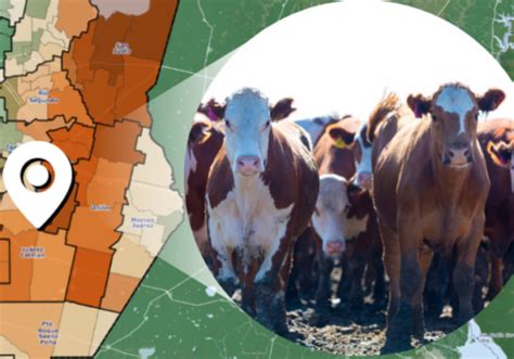 Ganadería Publica 8 Mapas Sobre La Actividad Del Sector En La Provincia