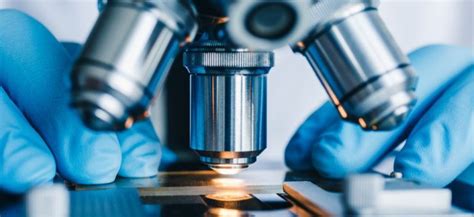 Differential Count For Csf Microbiology Class