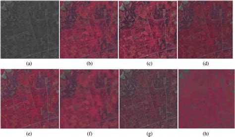 fusion results of landsat 7 etm data a pan data b ms data c