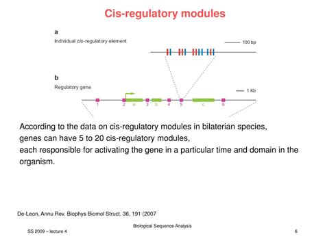 Ppt V4 Full Understanding Of Gene Transcription Gene Regulatory