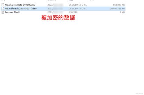 Devicdata D Xxxxxxxx勒索病毒数据恢复金蝶、用友、管家婆、oa、速达、erp等软件数据库恢复