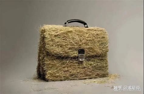 漫议草包的历史含义和现实意义 知乎