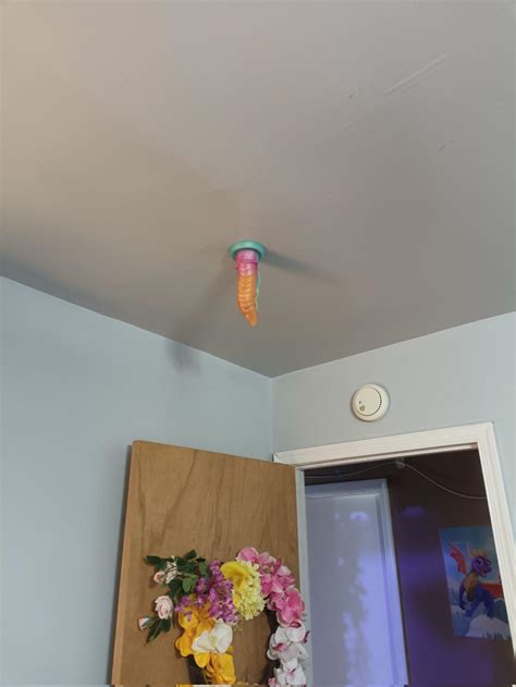 Where Are My Toy R Sextoyideas