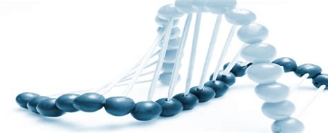 Rna Sequencing Services Comparison Lc Sciences Technologies For