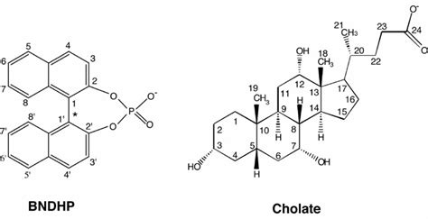 Examining Hydrodynamic And Solubilization Properties Of Micelles Formed By Chiral Amphiphiles