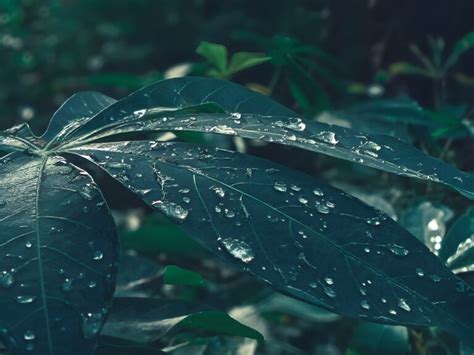 How To Calculate Scope 1 2 And 3 Emissions A Quick Guide