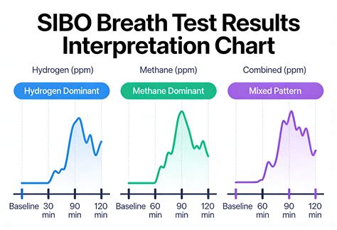 Sibo Breath Test Bangalore Complete Testing Guide