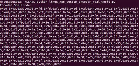 Slae Custom Rbix Shellcode Encoderdecoder Rce Security