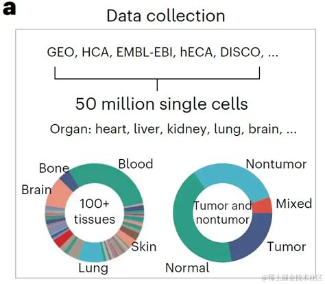 1亿参数的细胞大模型来了！登nature子刊，清华大学团队发布scfoundation：对2万基因同时建模 Csdn博客