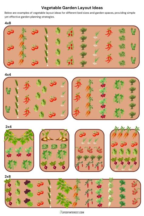 Vegetable Garden Layout Ideas For Beginners Companion Planting Chart