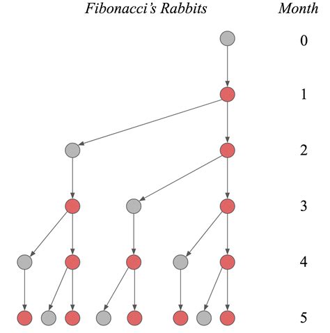 Fibonacci Sequence Rabbits