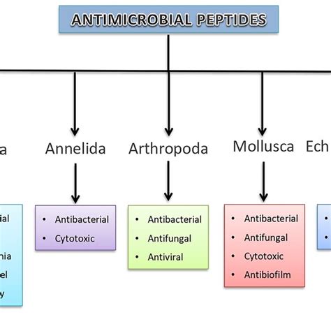 Biological Activities Reported For Antimicrobial Peptides From Various