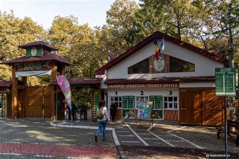 Csalók élnek Vissza A Marosvásárhelyi Állatkert Nevével Székelyhon