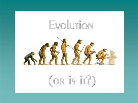 Evolution And Populations