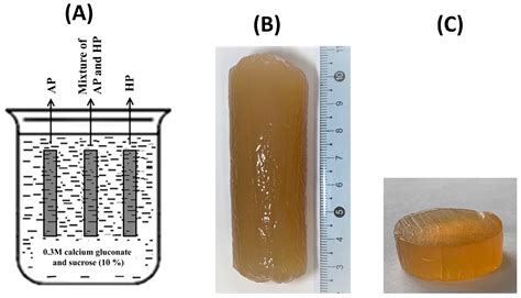 Gels | Free Full-Text | Effect of Hogweed Pectin on Rheological, Mechanical, and Sensory ...