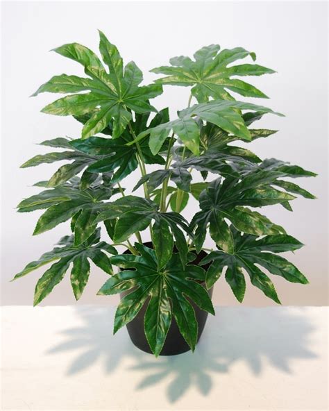 Aralia Bush Mini Interior Store Plante Artificiale Plante