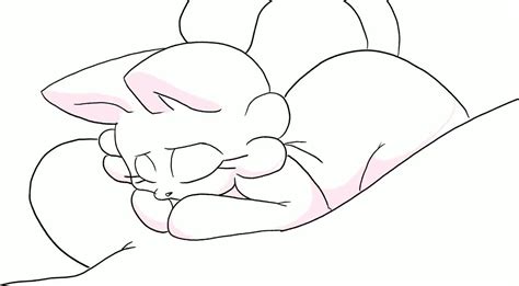 Lotion Cat