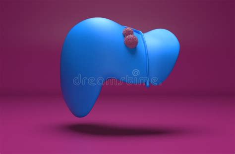 Hepatocyte Cell Stock Illustrations 111 Hepatocyte Cell Stock Illustrations Vectors And Clipart