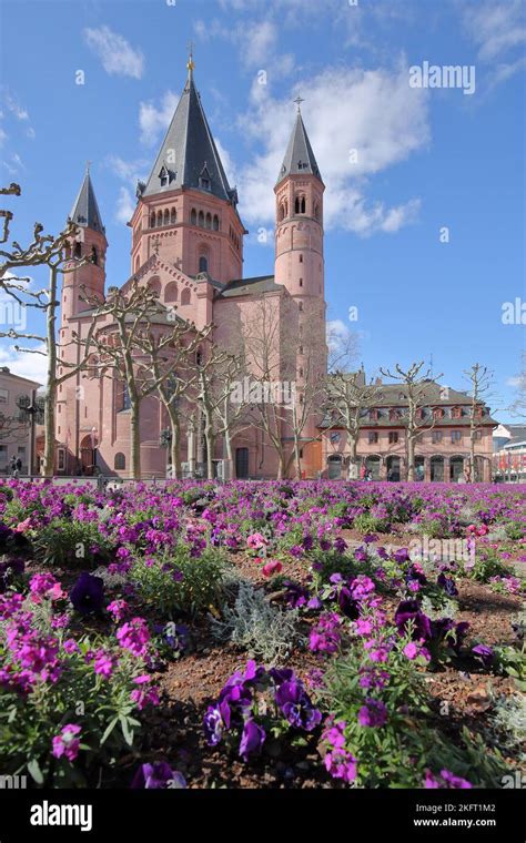 Romanesque High Cathedral St Martin Mainz Cathedral Old Town Mainz