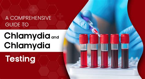 Chlamydia Overview And Testing A Comprehensive Guide