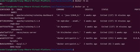 安装 ElasticSearch coder liang