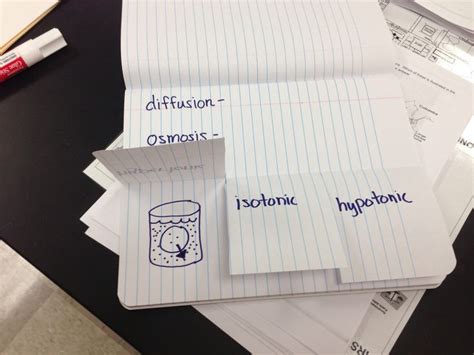 Images About Biology Cell Membrane Osmosis Diffusion On Pinterest Videos Passive