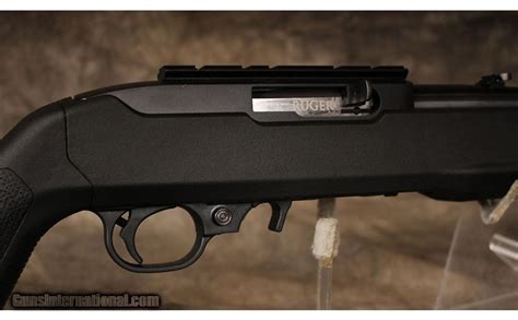 Ruger 1022