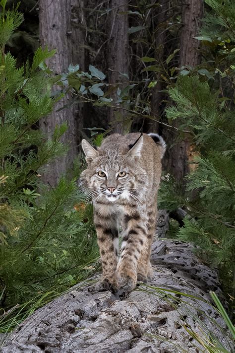 Close To Home Assignment Winner Randy Robbins Outdoor Enthusiast Lifestyle Magazine