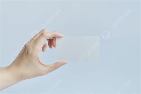 소 사진 을 실사 하 다 배경 일러스트 소 사진 을 실사 하 다 사진 벡터 및 Psd 파일 무료 다운로드 Pngtree