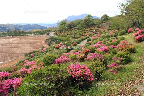 史跡 田原坂公園 写真素材 2482264 フォトライブラリー Photolibrary