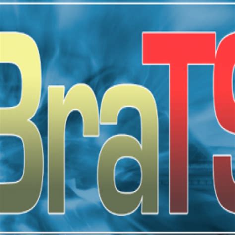 Brain Tumor Segmentation Brats 2019 Train Valid Kaggle