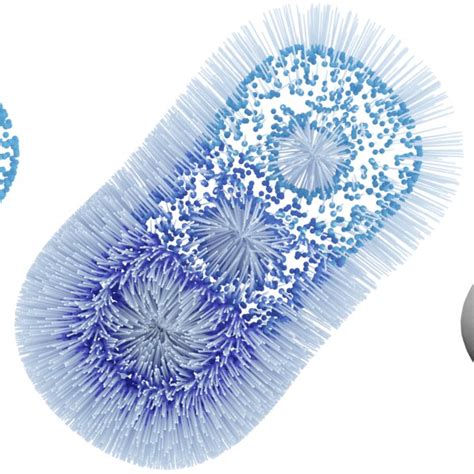 Comparing The Reconstruction Quality On Point Clouds With 05 Gaussian Download Scientific